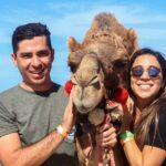 Cabo Camel Ride Experience - Who Is This Tour Best For?