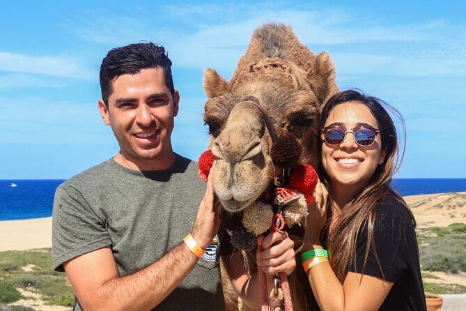 Cabo Camel Ride Experience - Who Is This Tour Best For?
