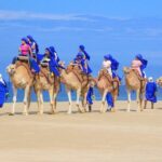 Cabo Camel Ride, Mexican Buffet and Tequila Tasting - What Our Guests Are Saying