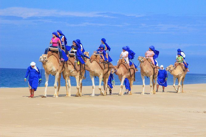 Cabo Camel Ride, Mexican Buffet and Tequila Tasting - What Our Guests Are Saying