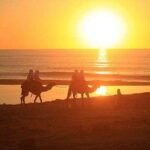 Cabo: Camel Ride On The Beach - What to Expect During the Tour