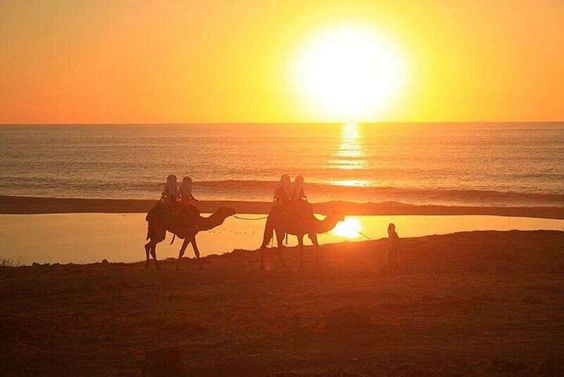 Cabo: Camel Ride On The Beach - What to Expect During the Tour