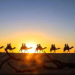 Cabo: Camel Safari Adventure with Tacos - The Bottom Line