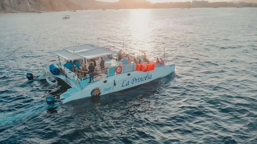 Cabo Catamaran Cruise  Arch, Snorkeling, Open Bar & Snacks - Final Thoughts: Is It Worth It?