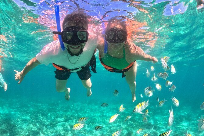 Cabo Catamaran Tour: Snorkeling & Unlimited Drinks Included - Why Choose This Tour?