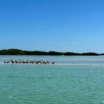Cabo Catoche Snorkel And Fishing - The Sum Up