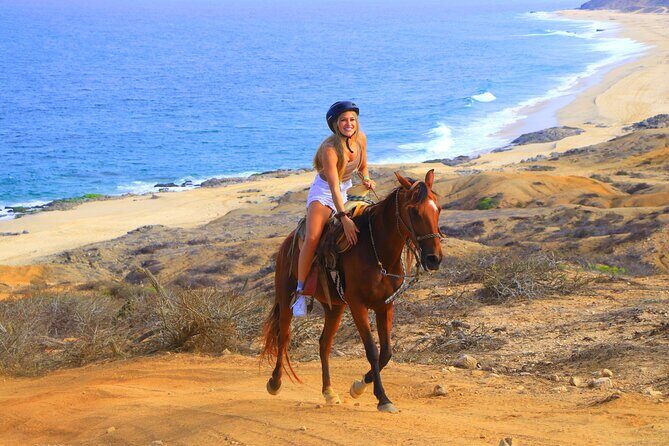 Cabo Combo Horseback Ride and Sky Bike Adventure - The Value Equation