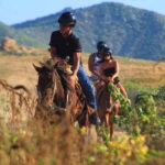 Cabo San Lucas: Beach & Desert Horseback Riding Tour - The Itinerary in Detail