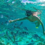 Cabo San Lucas: Cabo Pulmo Snorkeling Expedition - Introduction to the Cabo Pulmo Snorkeling Expedition