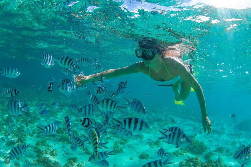 Cabo San Lucas: Cabo Pulmo Snorkeling Expedition - Introduction to the Cabo Pulmo Snorkeling Expedition