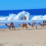 Cabo San Lucas: Camel Ride & Off-Road UTV Combo Adventure - Price and Overall Value