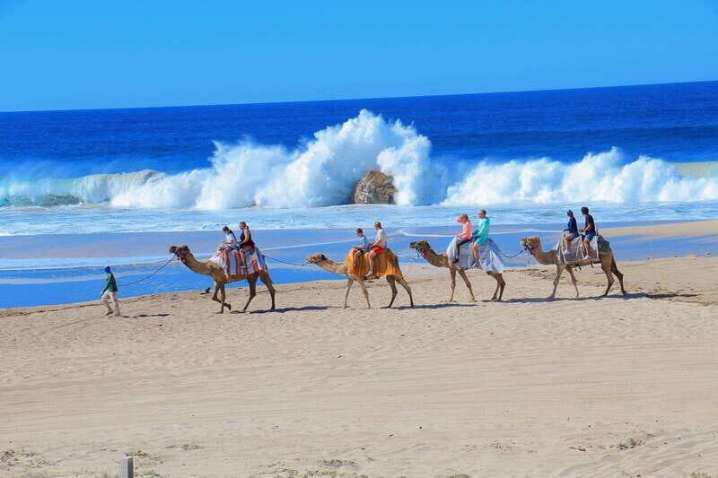 Cabo San Lucas: Camel Ride & Off-Road UTV Combo Adventure - Price and Overall Value