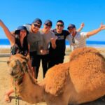 Cabo San Lucas: Camel Ride on the Beach - The Camels and the Setting: A Natural Wonder