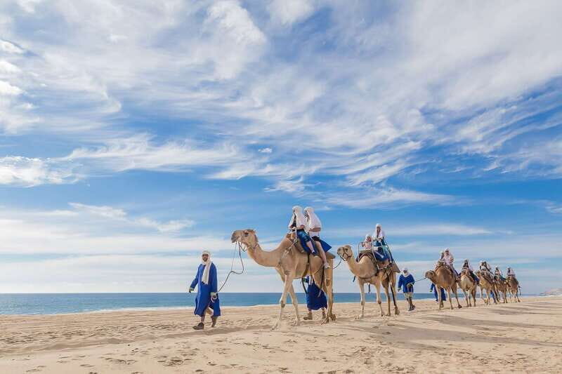 Cabo San Lucas: Camel Safari Tour with Lunch and Tequila - Authenticity and Experience Quality