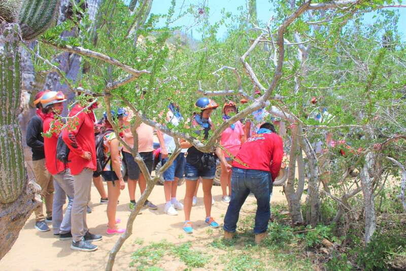 Cabo San Lucas: Candelaria Village ATV Tour - Final thoughts on value