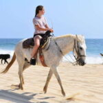 Cabo San Lucas: Desert ATV & Beach Horseback Combo - What’s Included and What’s Not