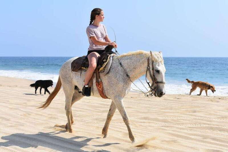 Cabo San Lucas: Desert ATV & Beach Horseback Combo - What’s Included and What’s Not