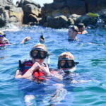 Cabo San Lucas: Guided Snorkeling Tour with Transportation - The Day in the Life of the Tour
