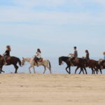 Cabo San Lucas: Horseback Riding Adventure - Transport, Timing, and Practical Details