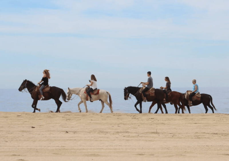 Cabo San Lucas: Horseback Riding Adventure - Transport, Timing, and Practical Details