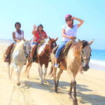 Cabo San Lucas: Horseback Riding Corredor Turistico - What to Expect from the Tour
