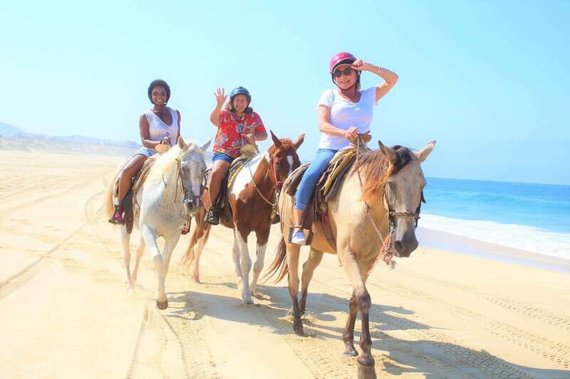 Cabo San Lucas: Horseback Riding Corredor Turistico - What to Expect from the Tour