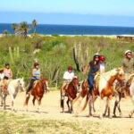 Cabo San Lucas: Horseback Riding in Migriño with Transfers - Scenic Stops and Highlights