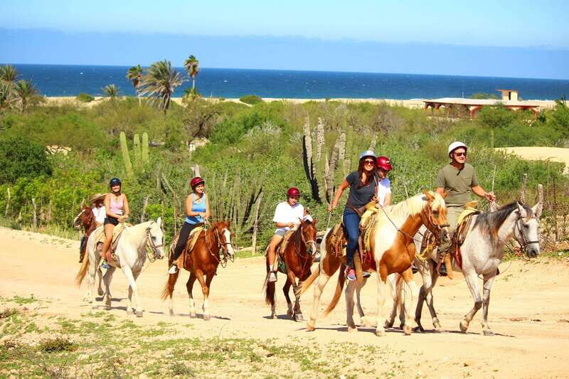 Cabo San Lucas: Horseback Riding in Migriño with Transfers - Scenic Stops and Highlights