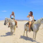 Cabo San Lucas: Horseback Riding On The Beach - Visiting the Tequila Museum and Tasting