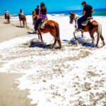 Cabo San Lucas: Horseback Riding on the Beach Experience - Who Should Consider This Tour?