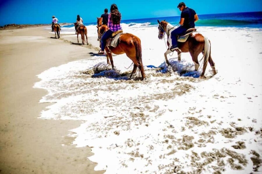 Cabo San Lucas: Horseback Riding on the Beach Experience - Who Should Consider This Tour?
