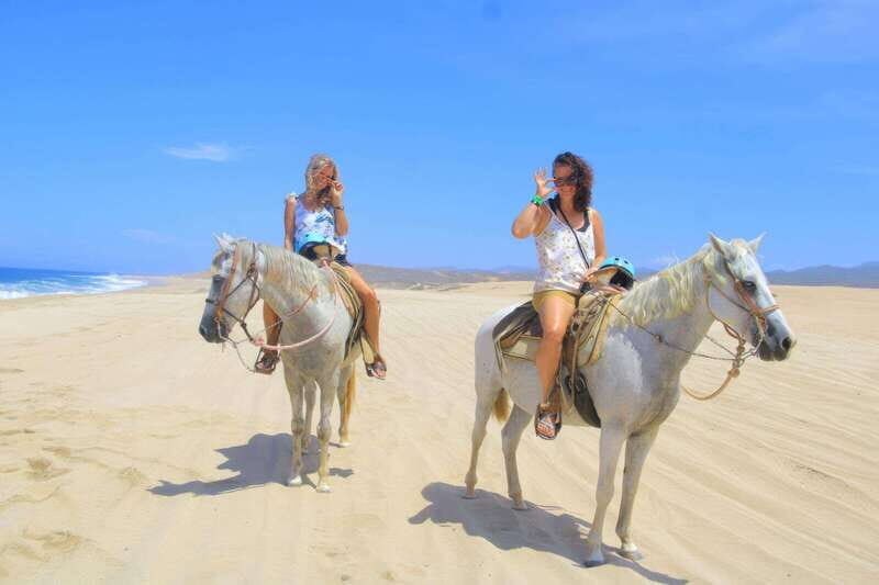 Cabo San Lucas: Horseback Riding On The Beach - Visiting the Tequila Museum and Tasting