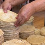 Cabo San Lucas Mexican Cooking Class Experience and Local Markets - The Value of the Experience