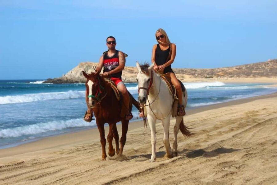 Cabo San Lucas: Migriño Horseback Riding Adventure - What You Can Expect on the Tour
