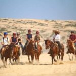 Cabo San Lucas: Migriño Horseback Riding and Tequila Tour - The Practicalities and Value