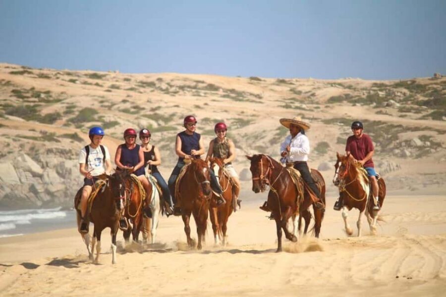 Cabo San Lucas: Migriño Horseback Riding and Tequila Tour - The Practicalities and Value