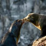 Cabo San Lucas: Private Sunset Cruise - Value and Practical Considerations