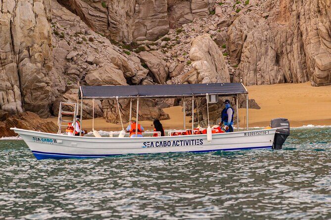 Cabo San Lucas Shared Glass Bottom Boat Experience - The Experience Itself: What You Can Expect
