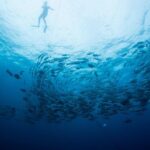 Cabo San Lucas Shopping, Tequila Tasting, and Snorkel Tour - Who Should Book This Tour?