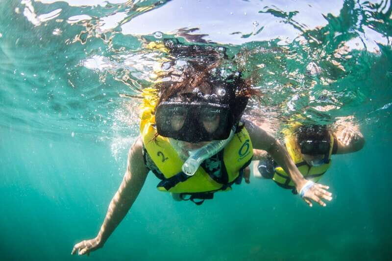 Cabo San Lucas: Snorkel, Lunch and Sail Experience - The Vibe and Atmosphere