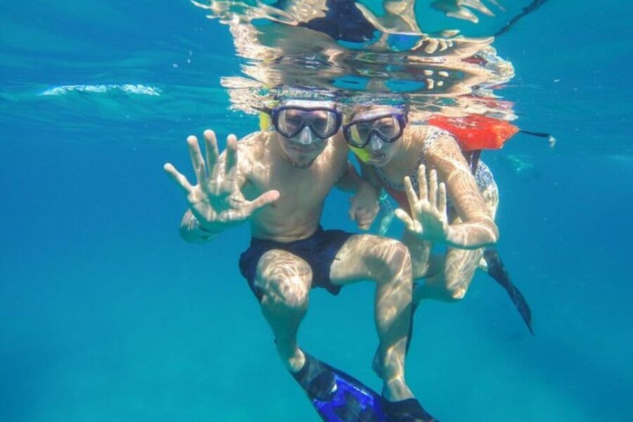 Cabo San Lucas: Snorkeling and Sailing Cruise with Lunch - The Food and Drinks: A Gourmet Lunch at Sea