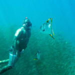 Cabo San Lucas: Snorkeling at Lovers Beach - The Itinerary: What to Expect