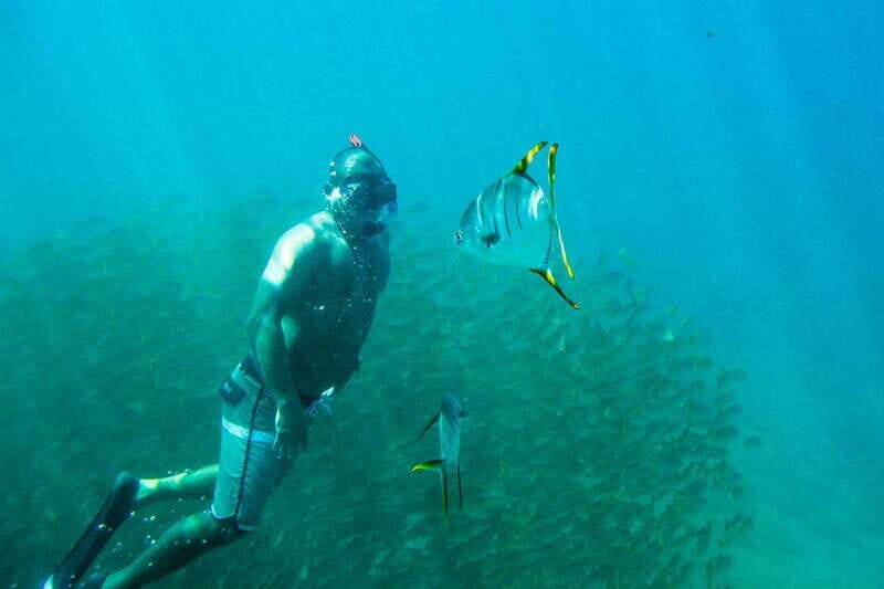 Cabo San Lucas: Snorkeling at Lovers Beach - The Itinerary: What to Expect