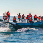 Cabo San Lucas: Up-Close Whale Watching Small-Group Tour - The Itinerary in Detail
