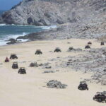 Cabo San Lucas: UTV Razor Fun with Desert, Beach, & Tequila - Practical Details and Tips for Travelers