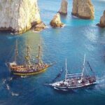 Cabo San Lucas Whale Watching Tour All Included - Final Thoughts