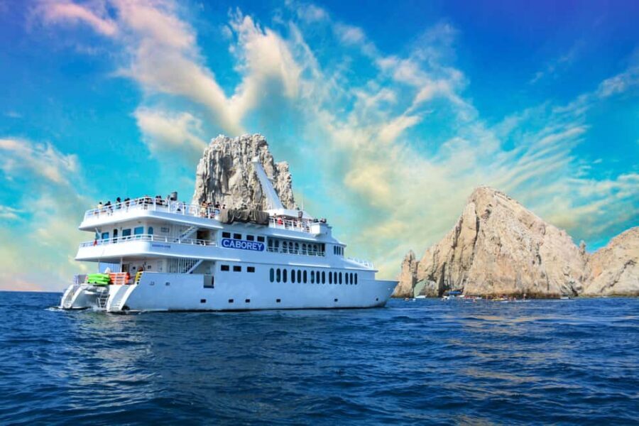 Cabo San Lucas: Whale Watching Tour with Breakfast - The Sum Up