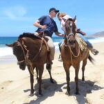 Cabo San Lucas: White Sand Horseback Adventure - The Value and Overall Quality