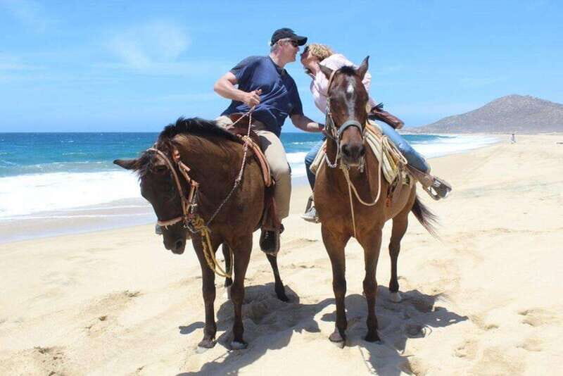 Cabo San Lucas: White Sand Horseback Adventure - The Value and Overall Quality