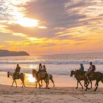 Cabo Shore Excursion: Beach Horseback Ride & Tequila Tasting - Authenticity and Traveler Reviews